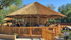 Chance Rides Carousel Gallery - CHANCE RIDES