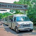 Great Ideas for Your Zoo - CHANCE RIDES